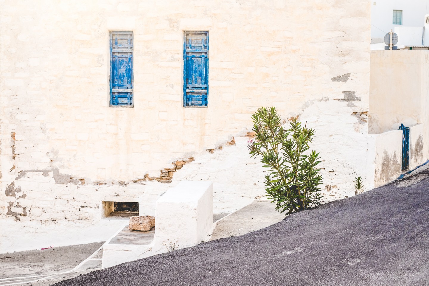 Wszystkie smaki Cyklad - Lente Magazyn śródziemnomorski